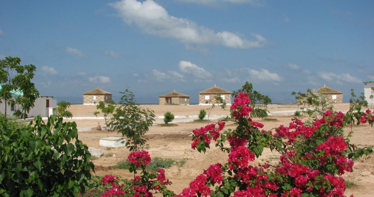 Best time to go to Africa: country by country