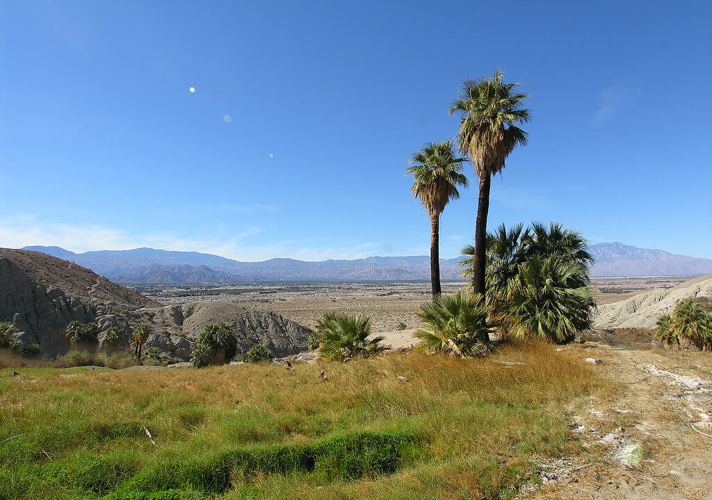 Best Time To Go To Biskra | Weather And Climate. 3 Months To Avoid ...