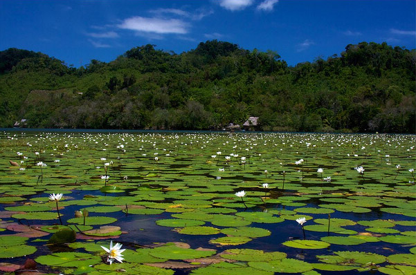Weather in Guatemala in march 2021 - Climate, Temperature, Where to go?