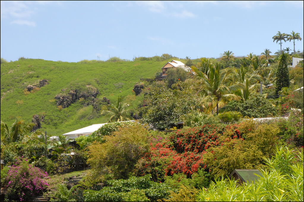 Weather on the island of Reunion in october 2020 - Climate, Temperature ...