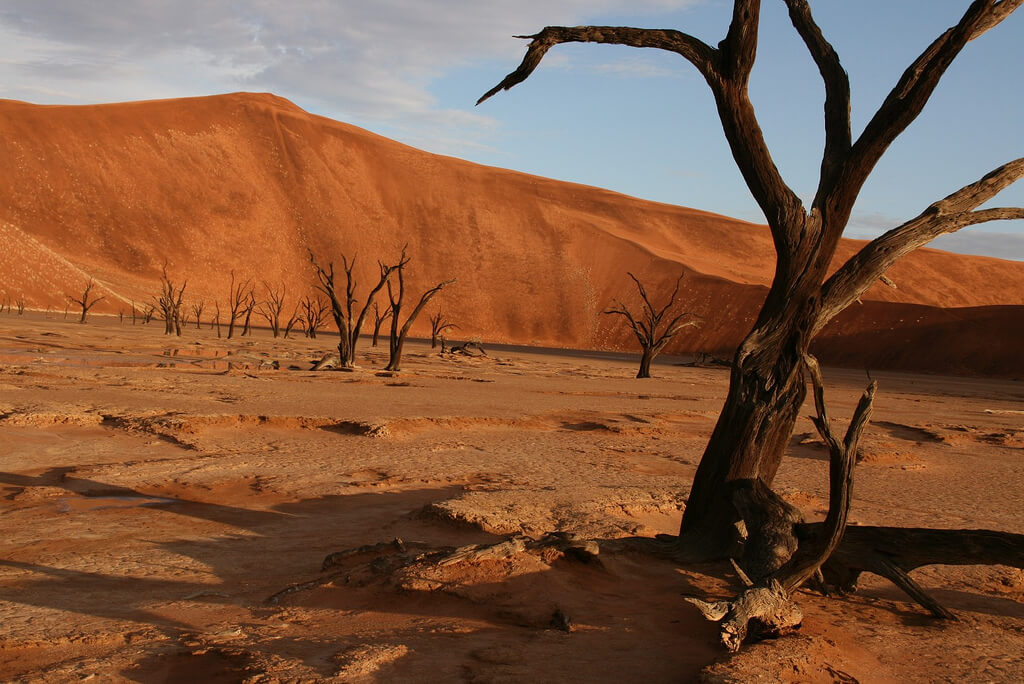 Weather in Namibia in january 2021 - Climate, Temperature, Where to go?