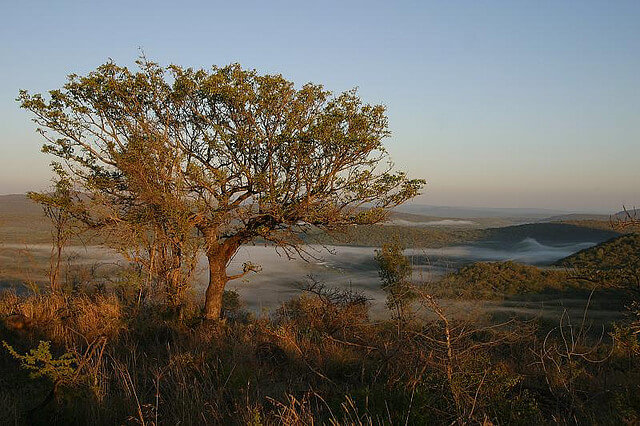 Weather in Swaziland (Eswatini) in january 2021 - Climate, Temperature ...