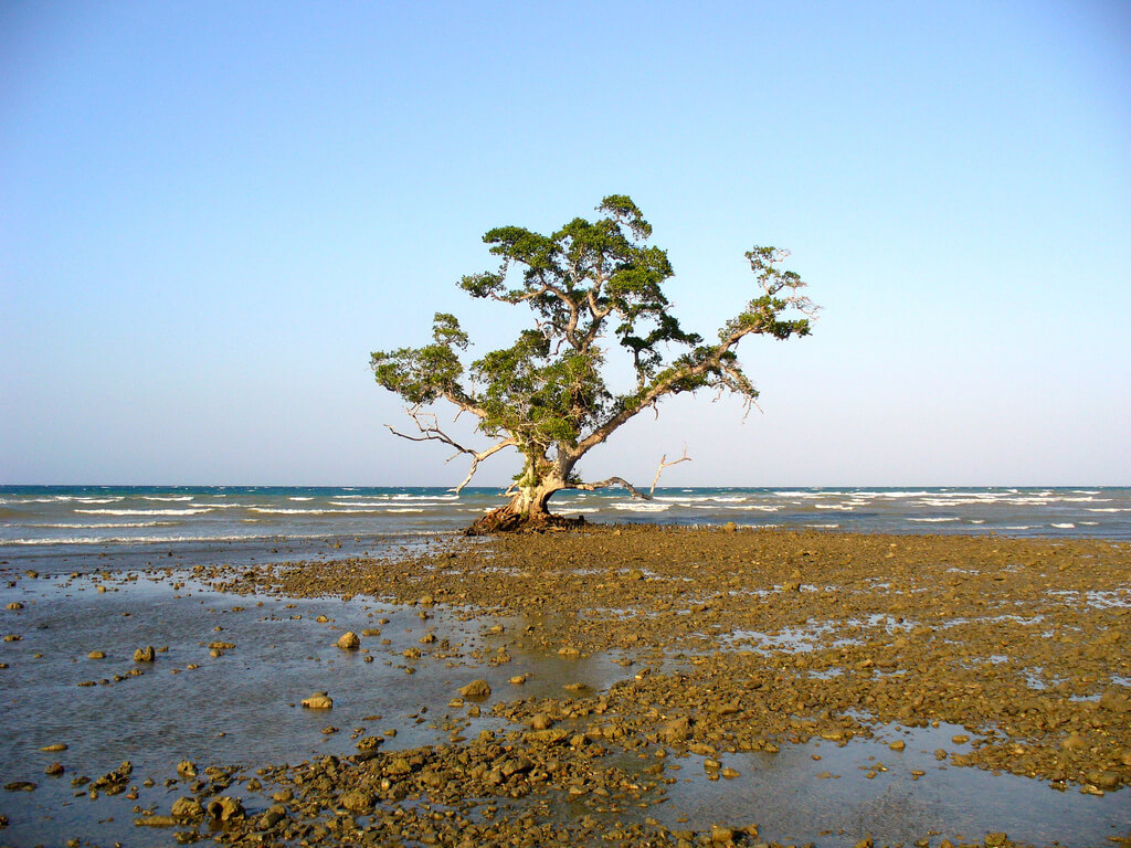 Weather in Timor-Leste in may 2021 - Climate, Temperature, Where to go?